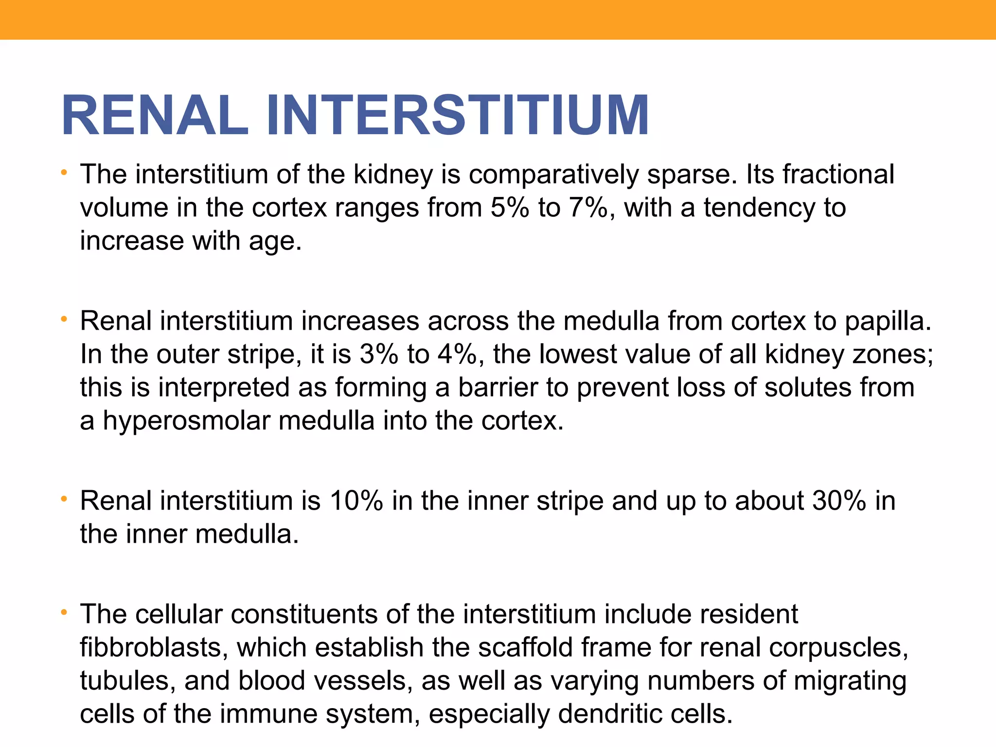 Renal anatomy | PPT
