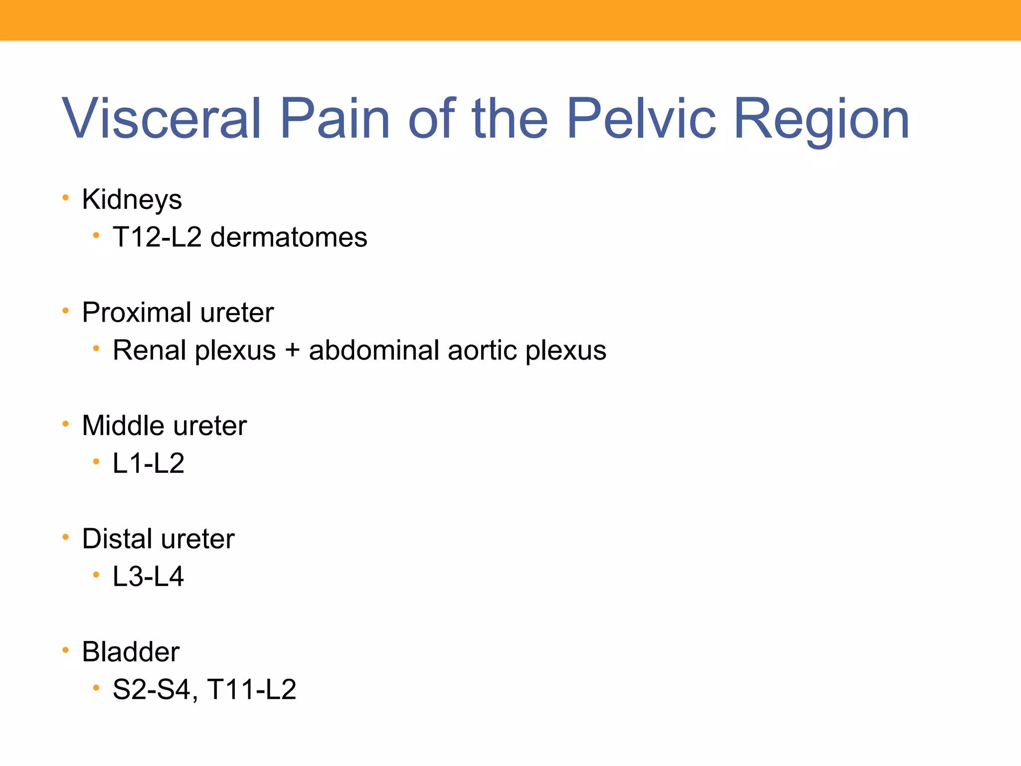 Renal anatomy | PPT