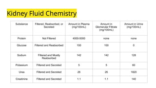 renal anatomy and physiology (function and structure).ppt