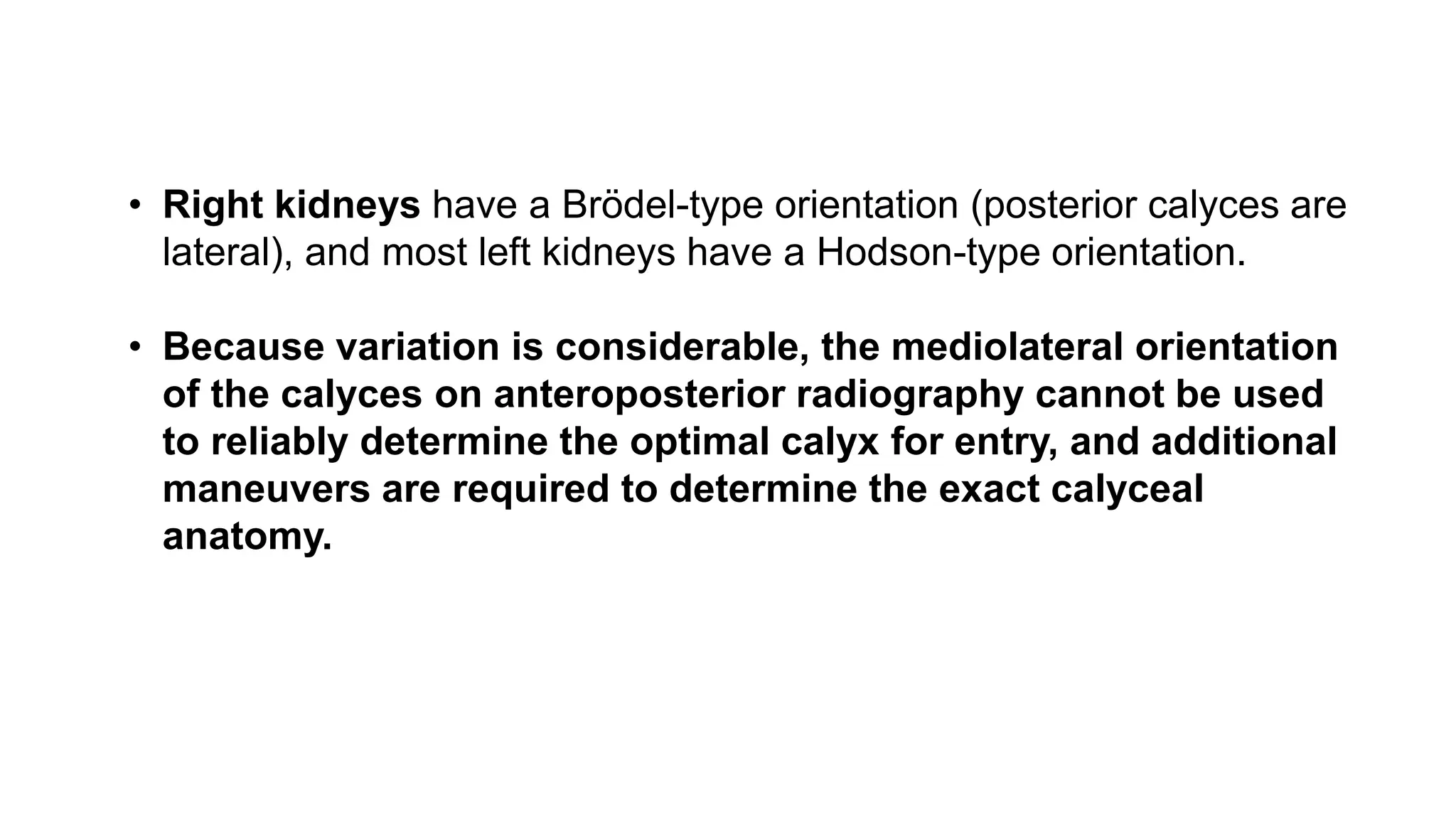 Renal Anatomy - applied aspects | PPTX