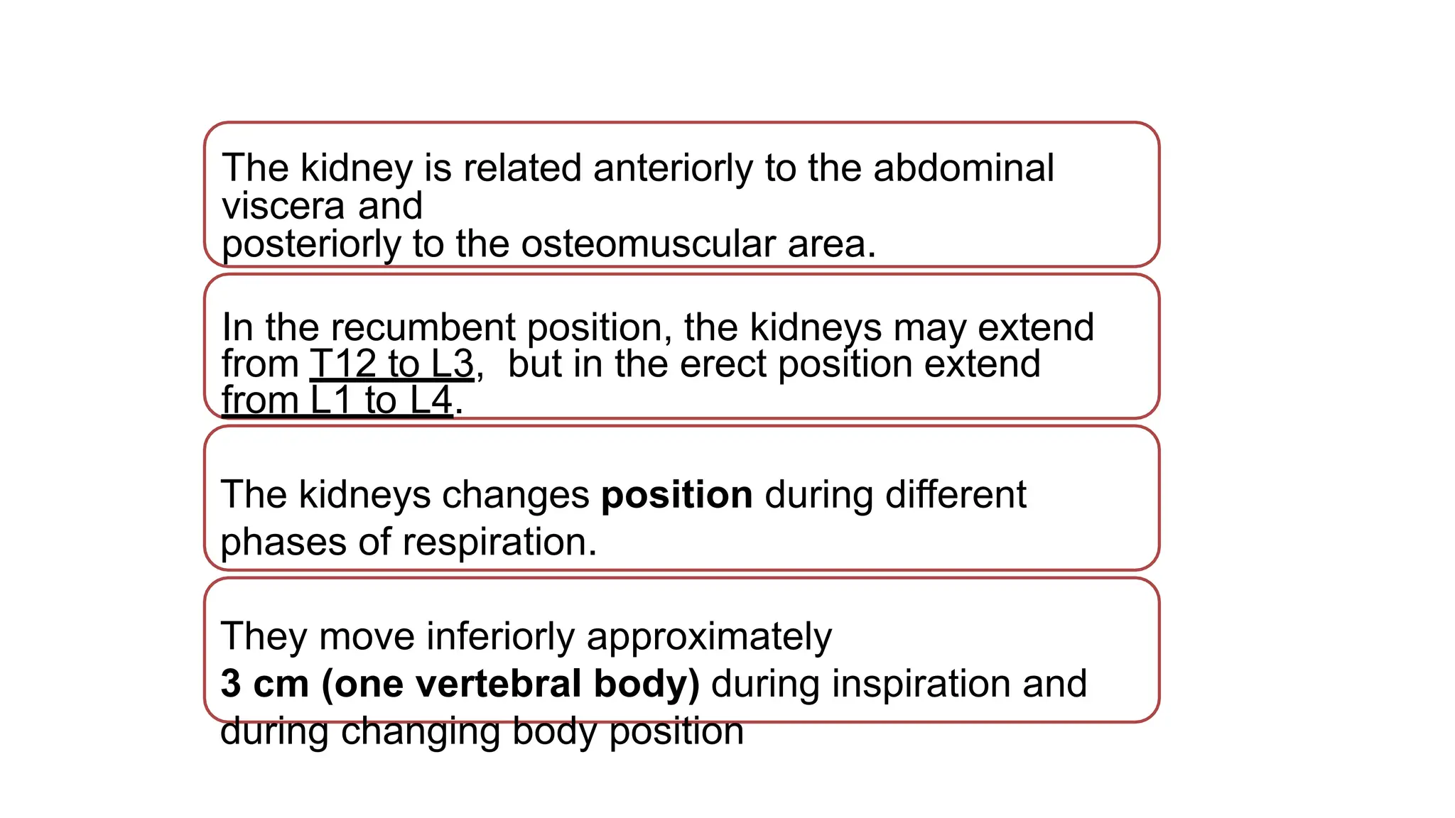 Renal Anatomy - applied aspects | PPTX