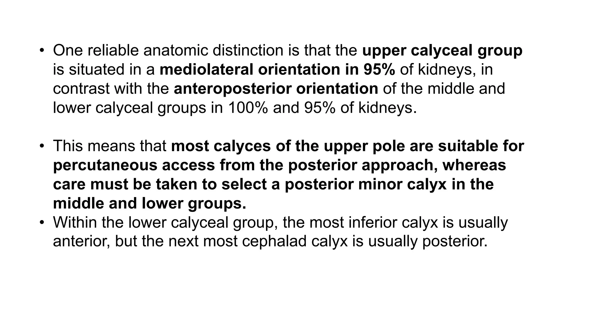 Renal Anatomy - applied aspects | PPTX
