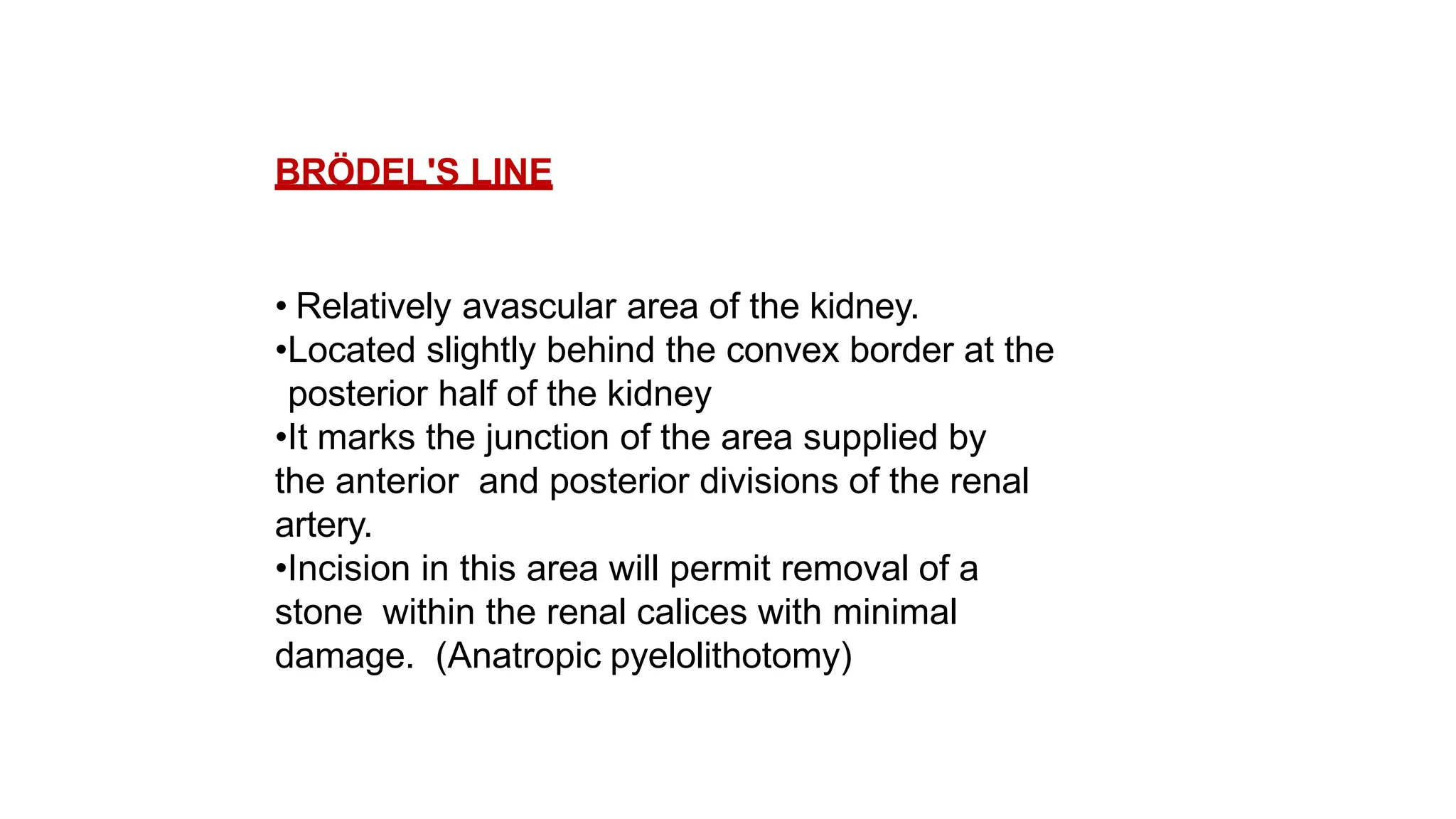 Renal Anatomy - applied aspects | PPTX