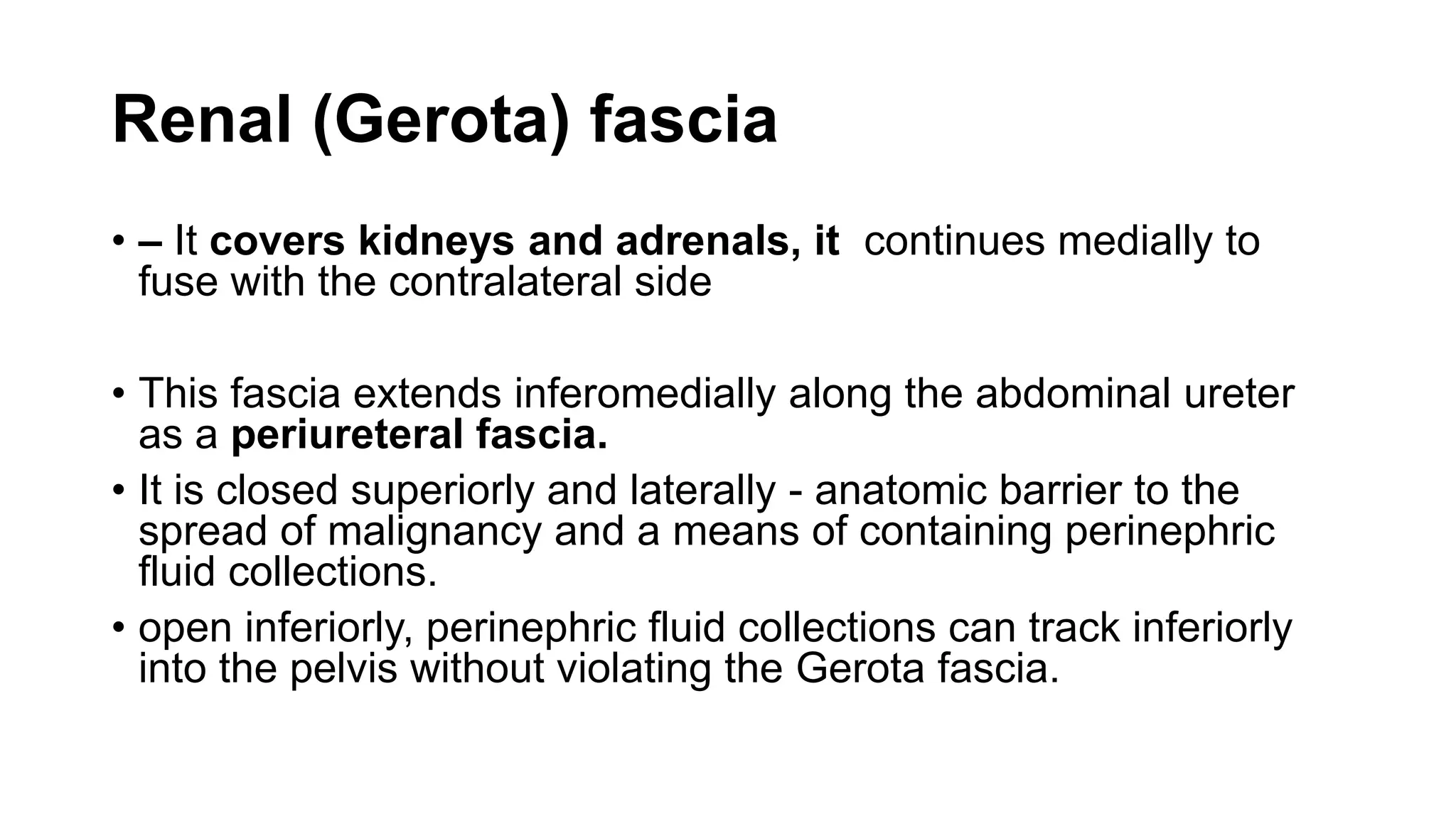 Renal Anatomy - applied aspects | PPTX