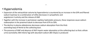 Renal anatomy and physiology .. | PPTX