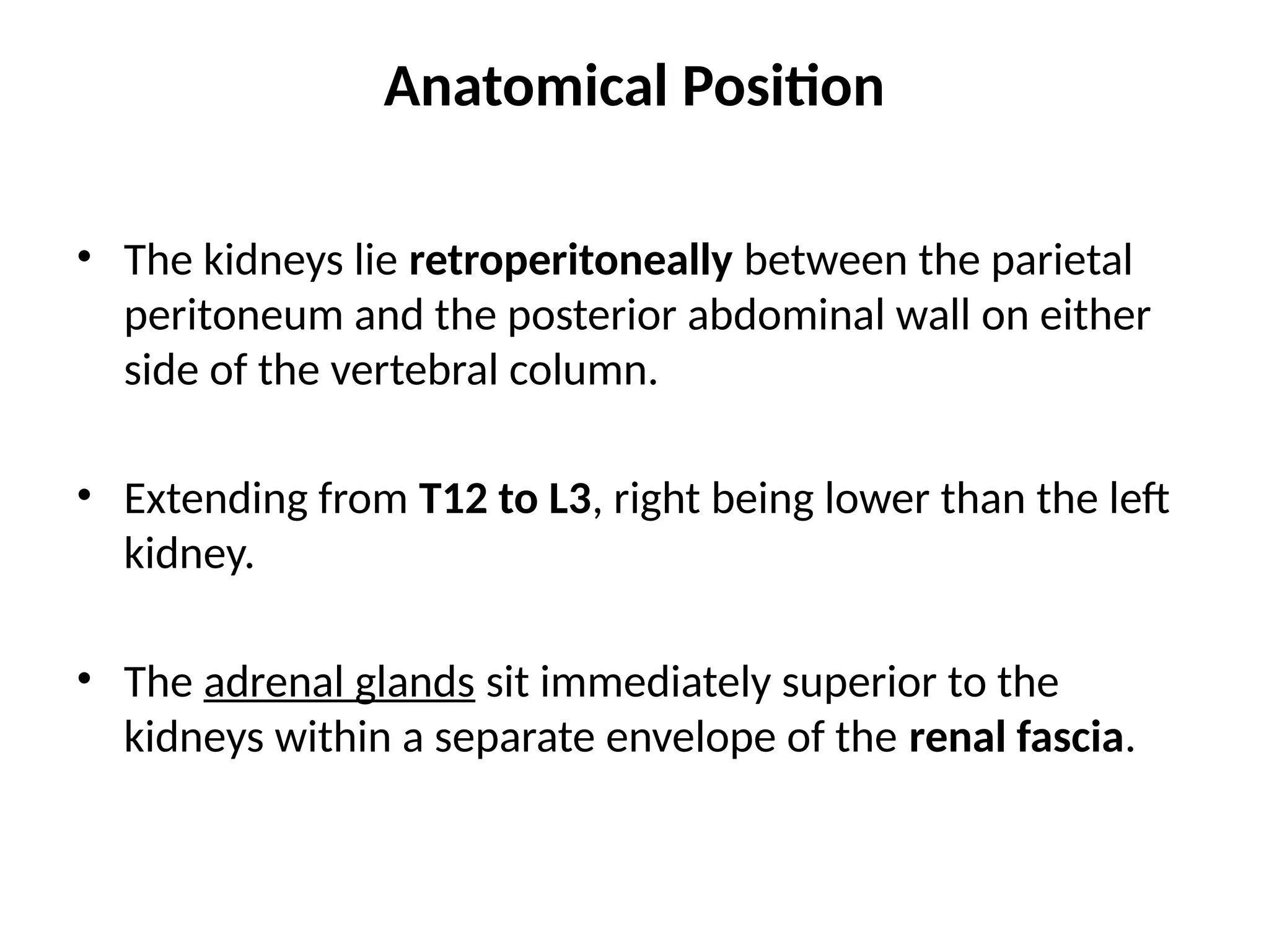 Renal anatomy and physiology and its anaesthetic implication | PPTX