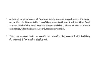 Renal anatomy and physiology and its anaesthetic implication | PPTX