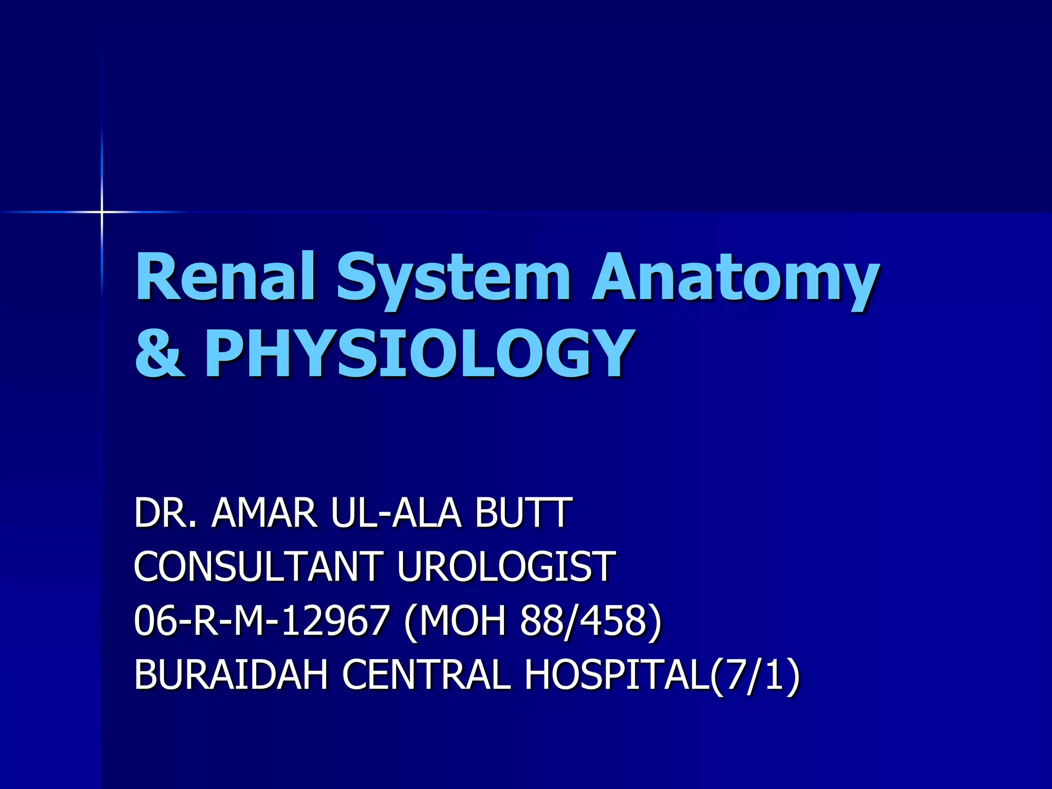Renal anatomy& physiology | PPT