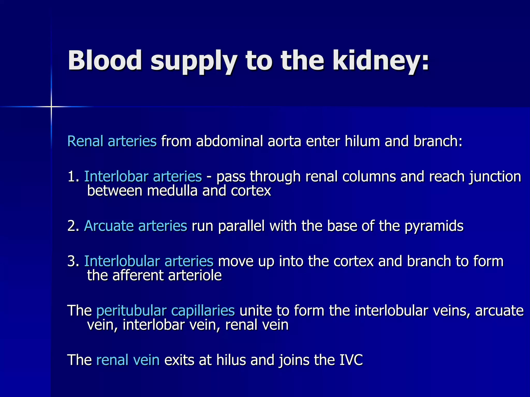 Renal anatomy& physiology | PPT