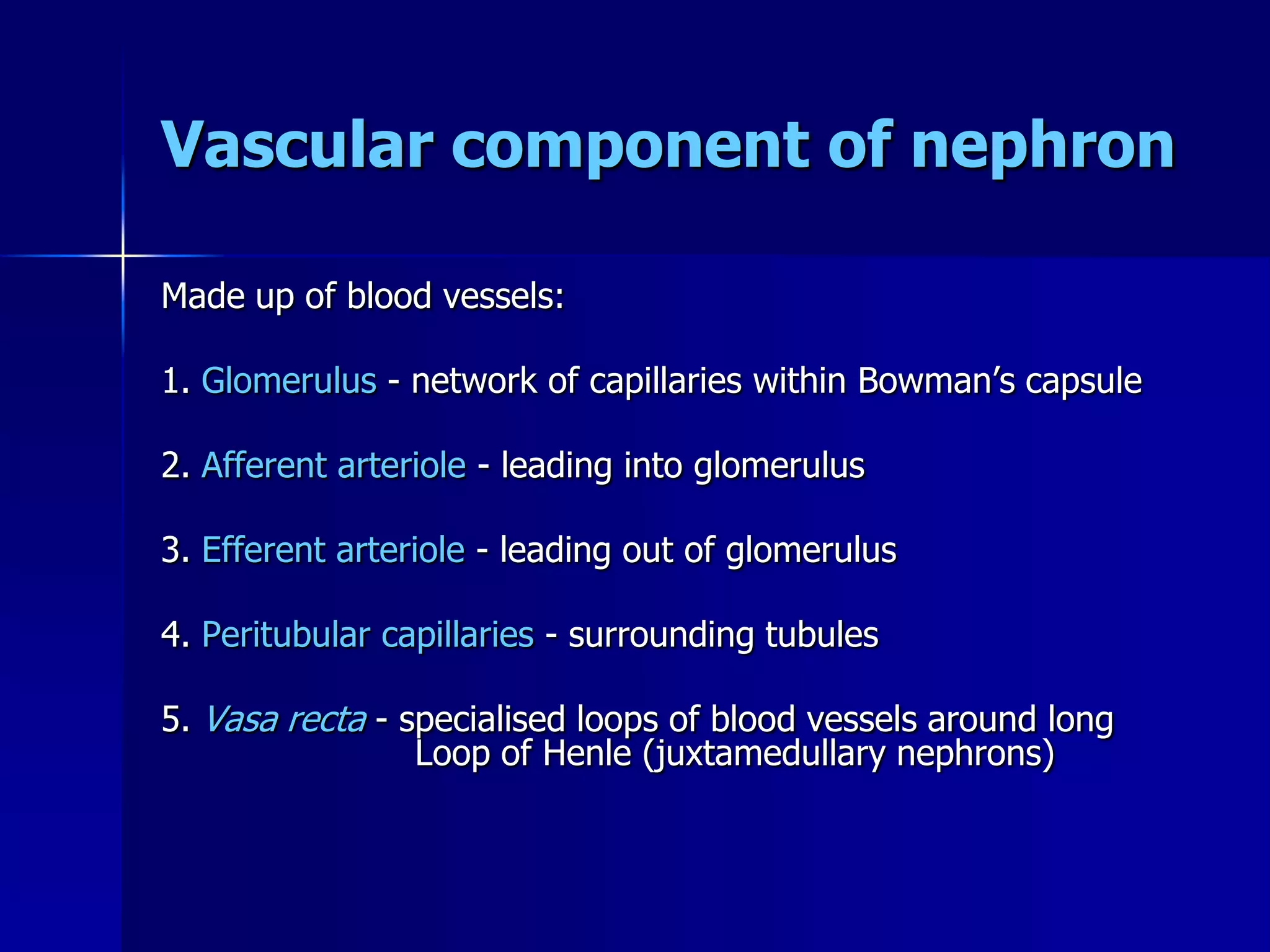 Renal anatomy& physiology | PPT