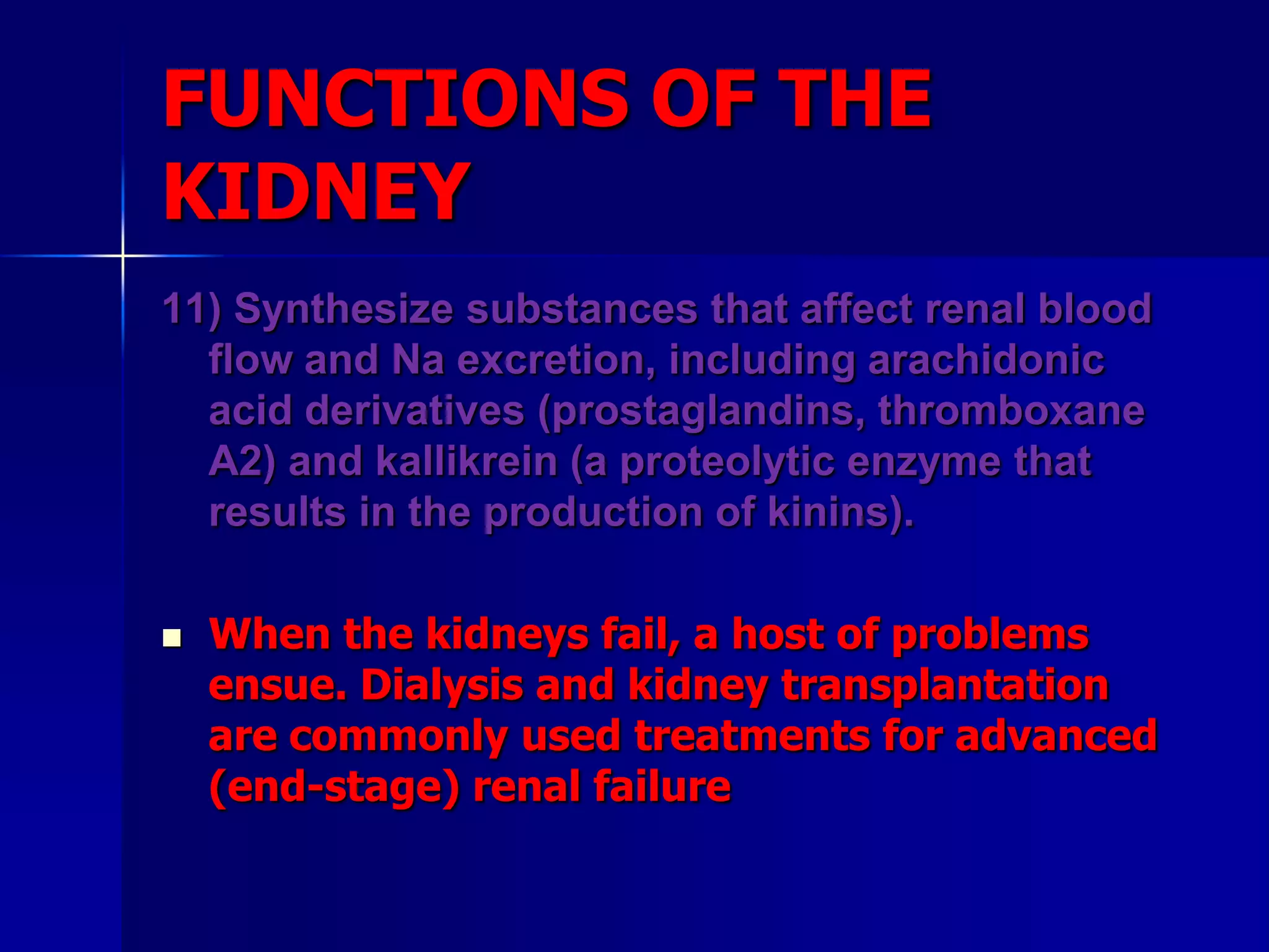 Renal anatomy& physiology | PPT