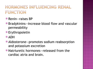 Renal and urinary system disorders (1).ppt