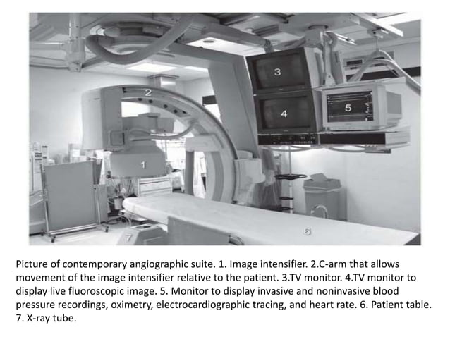 Renal Angiography | PPTX | Medical Tests | Medical Health