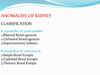 Renal anomalies | PPTX