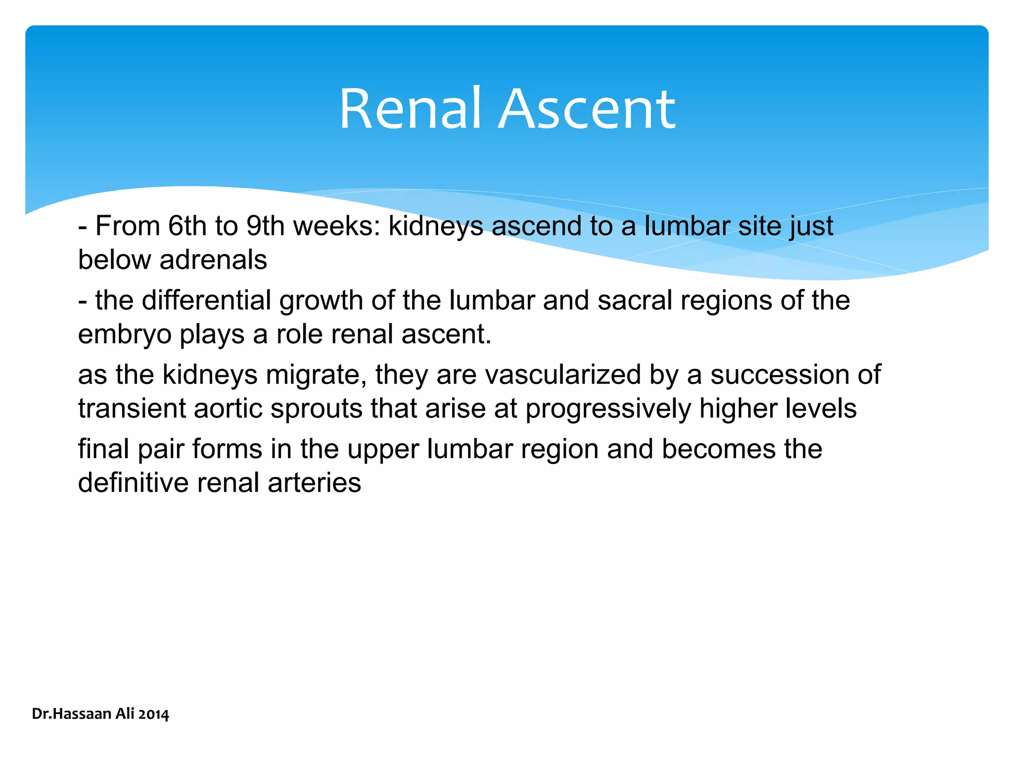 Renal anomalis | PPTX