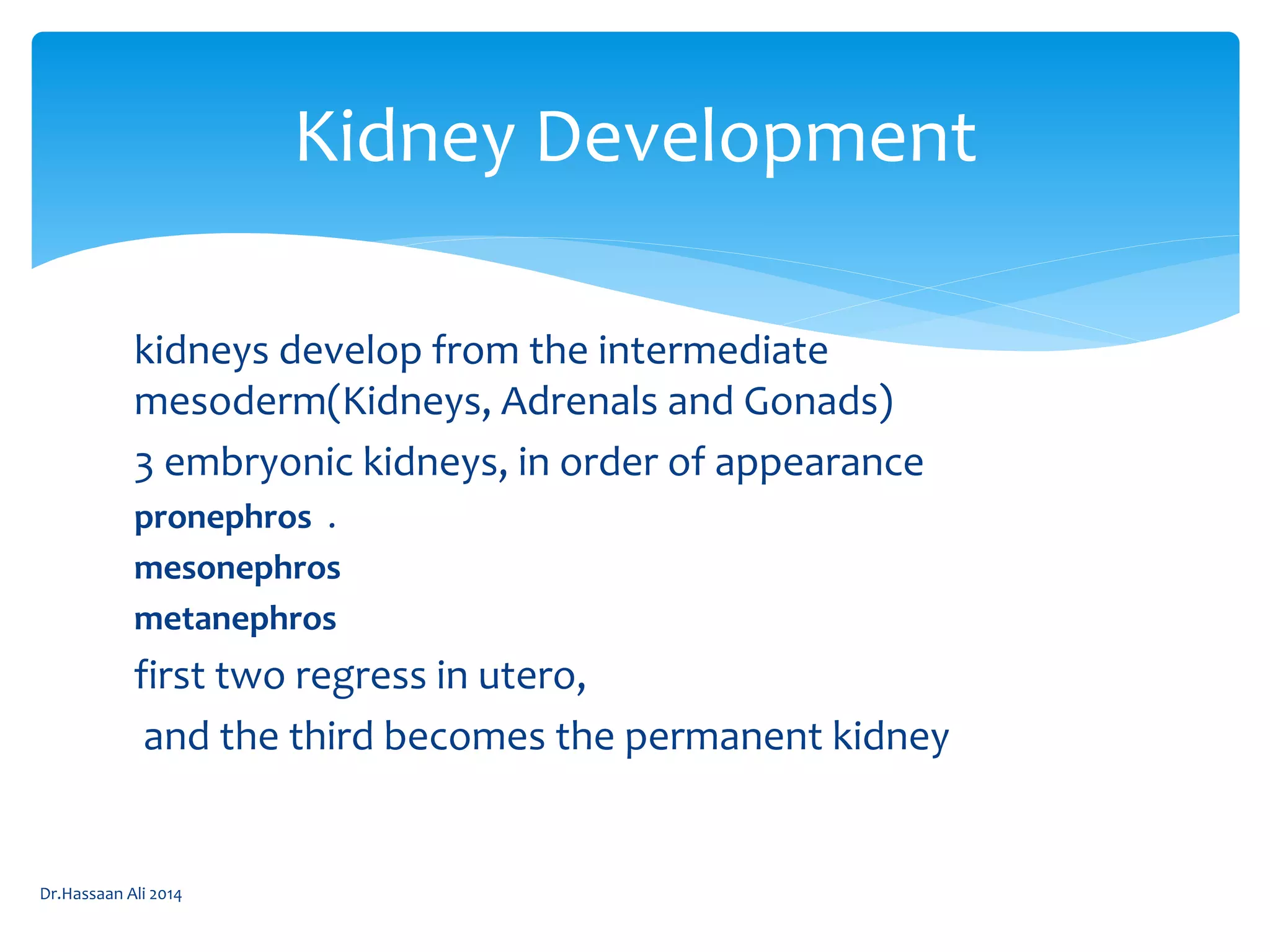 Renal anomalis | PPTX