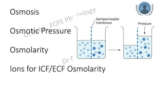 Body fluid compartments and regulation of osmolarity | PDF