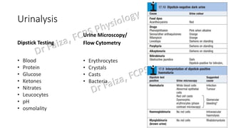 Renal Function Tests and clinical correlations | PDF