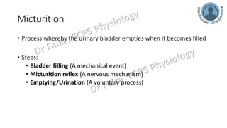 Micturition Physiology and its abnormalities | PDF