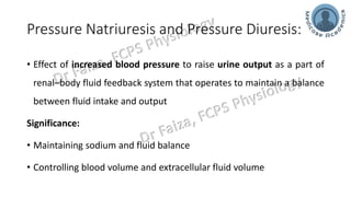 Effect of arterial pressure on urine output | PDF