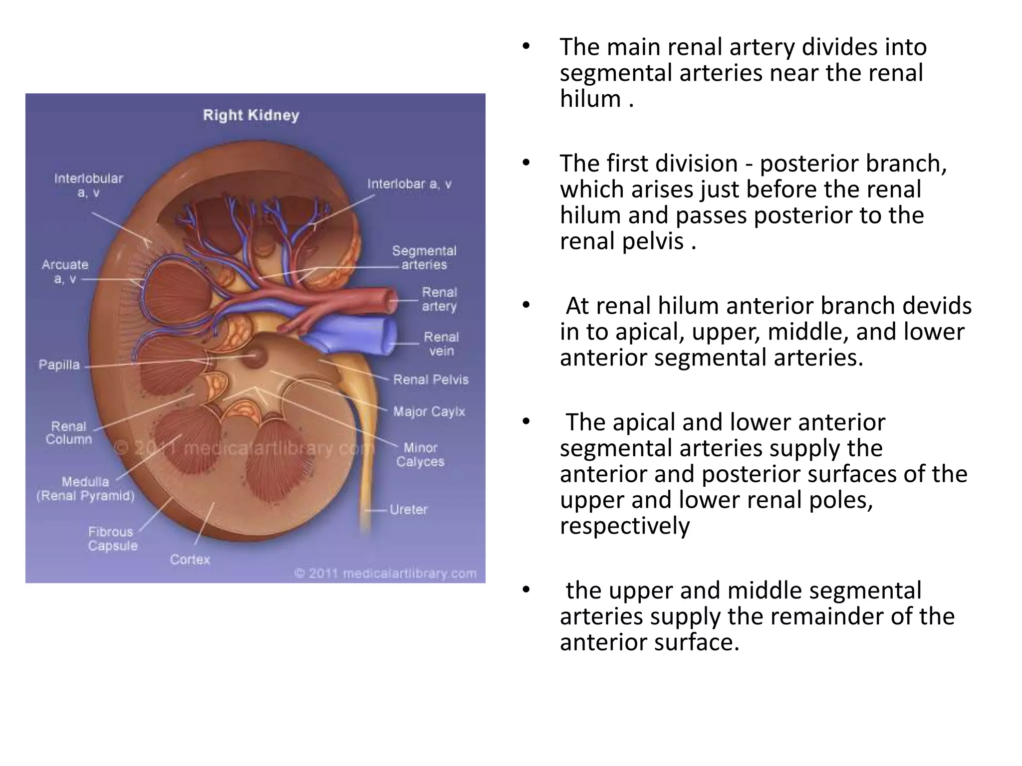 Renal artery stenosis, dr.k.s.suneetha | PPTX