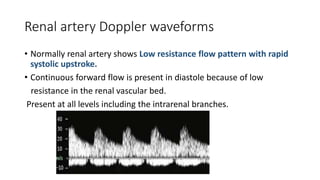 Renal artery Doppler and renal transplant | PPTX