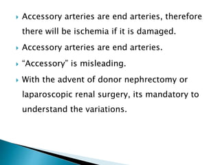 Renal artery variation in renal transplantation | PPTX