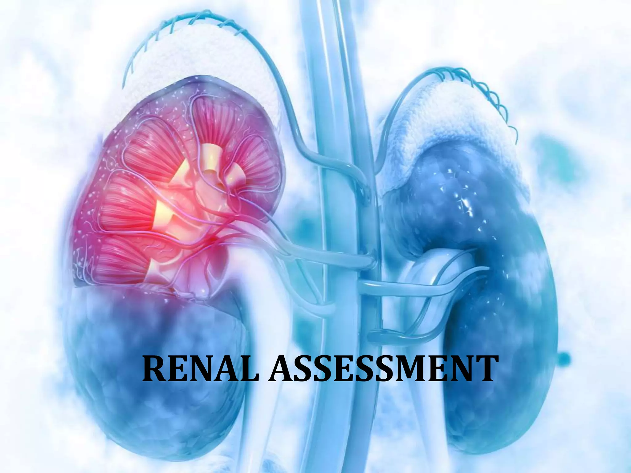 Renal Assessment | PPTX