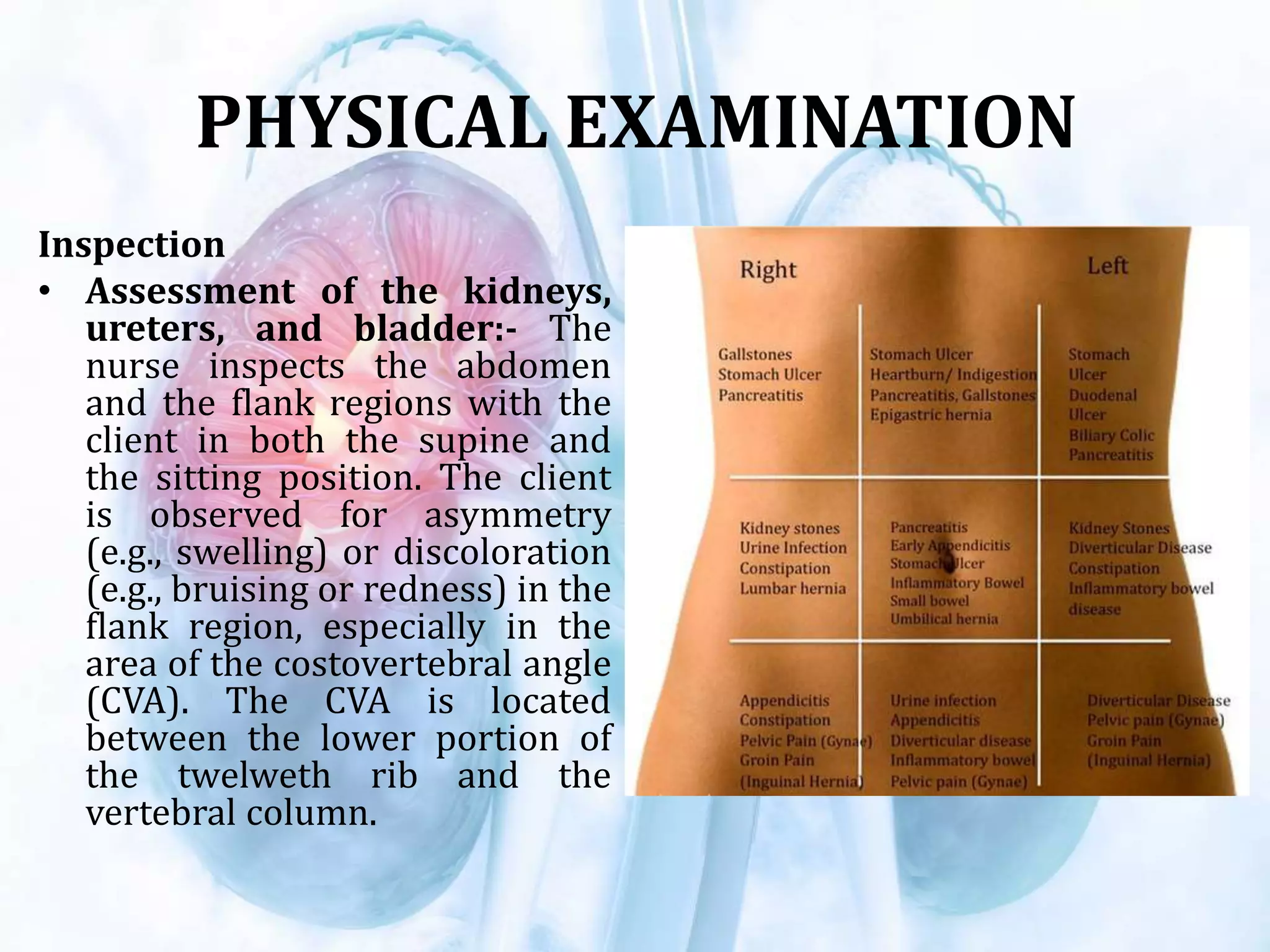 Renal Assessment | PPTX