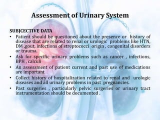 Renal Assessment | PPTX