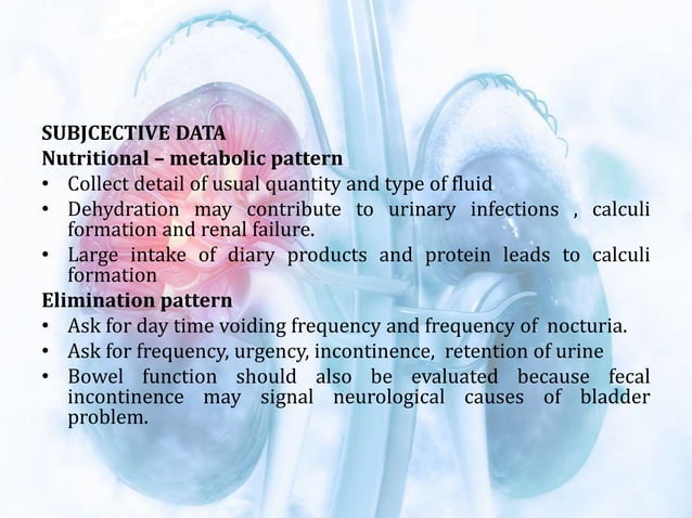 Renal Assessment | PPTX