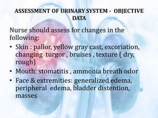 Renal Assessment | PPTX