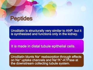 Renal autacoids | PPSX