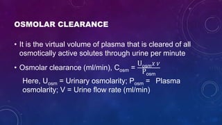 Renal biochemistry | PPTX