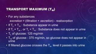 Renal biochemistry | PPTX
