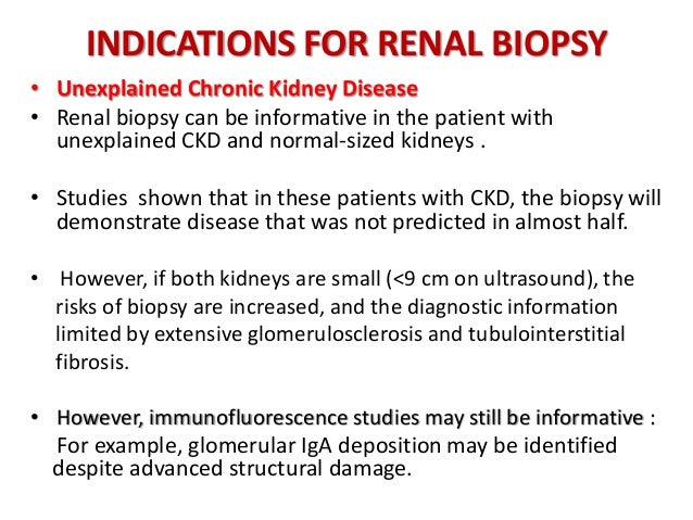 Renal biopsy