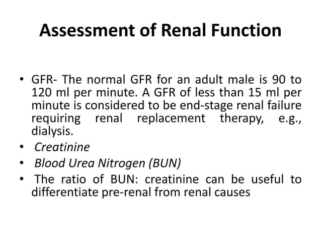 RENAL BIOPSY AND RENAL FUNCTION TESTS.pptx