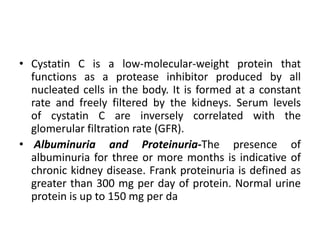 RENAL BIOPSY AND RENAL FUNCTION TESTS.pptx