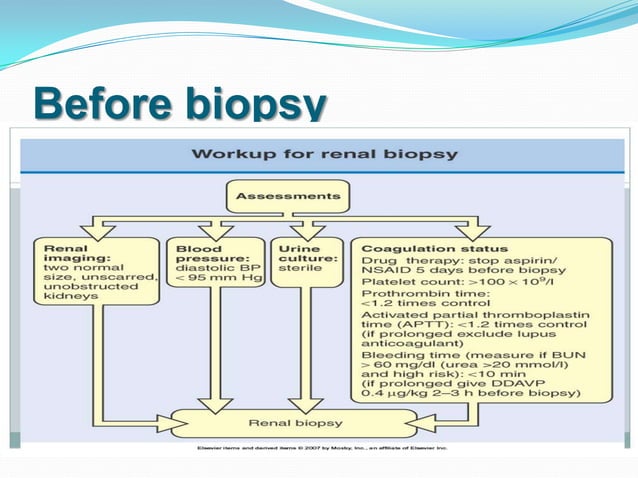 Renal biopsy fadl | PPTX