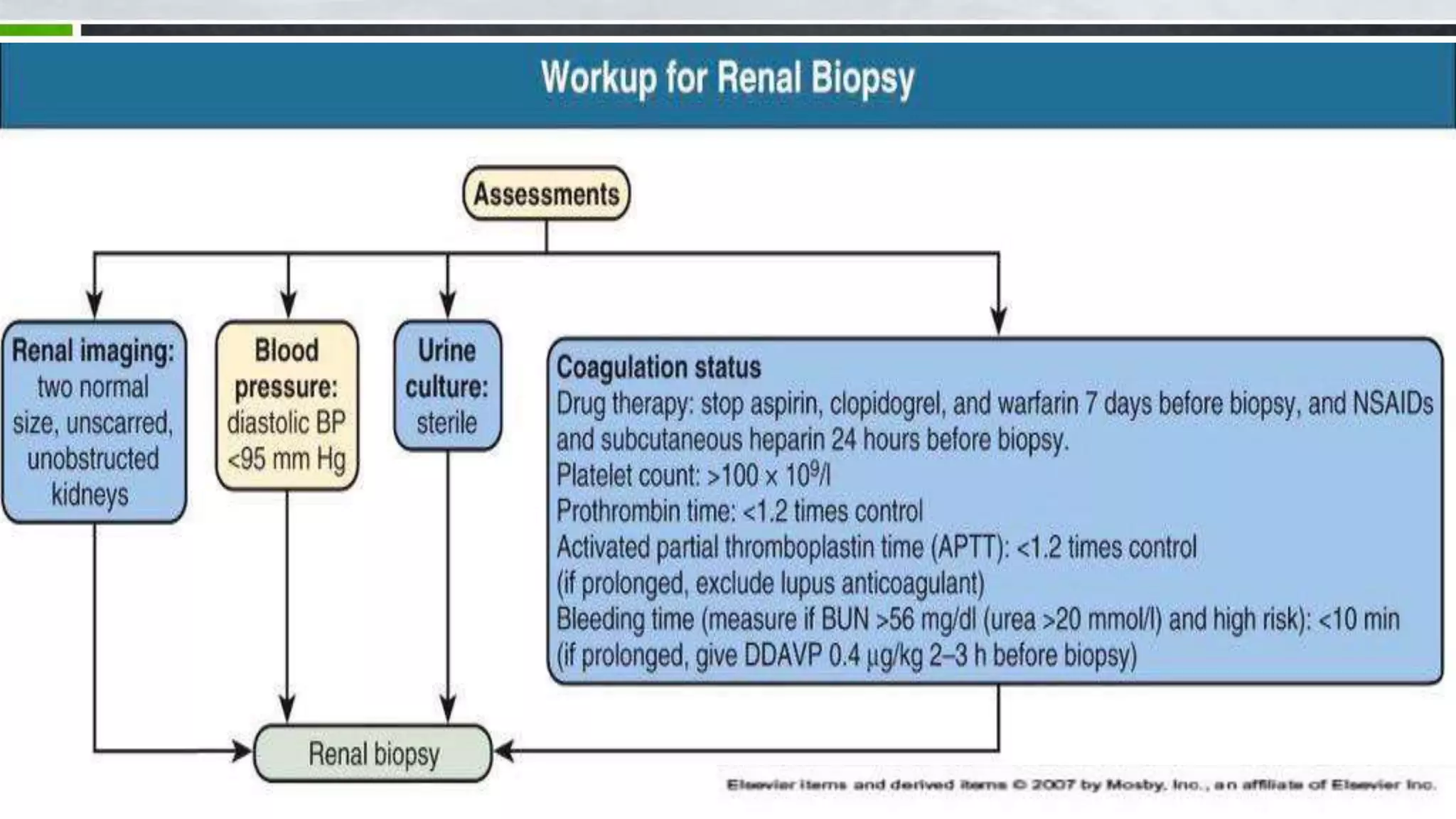 ultrasound guided renal biopsy.pptx