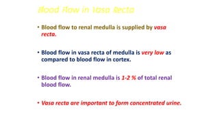 Renal blood flow (The Guyton and Hall physiology) | PPTX