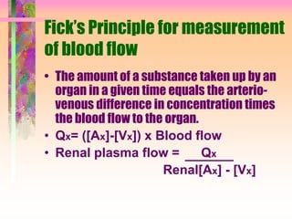 Renal blood flow.pdf