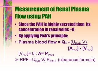 Renal blood flow.pdf