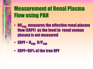 Renal blood flow.pdf