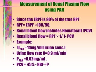 Renal blood flow.pdf