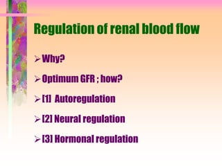 Renal blood flow.pdf