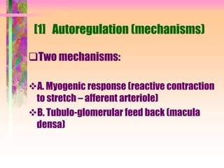 Renal blood flow.pdf