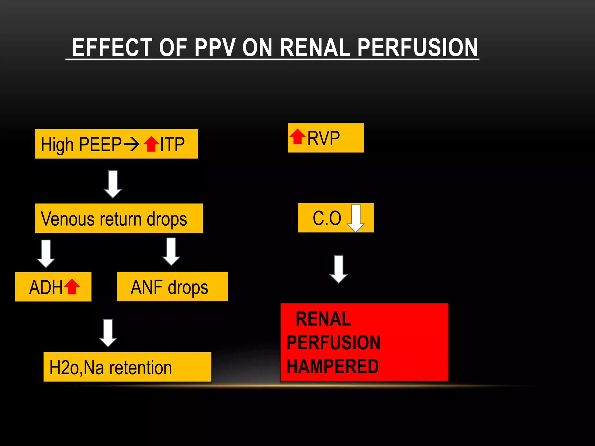 Renal blood flow and perfusion | PPTX
