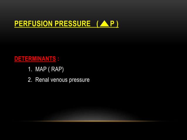 Renal blood flow and perfusion | PPT