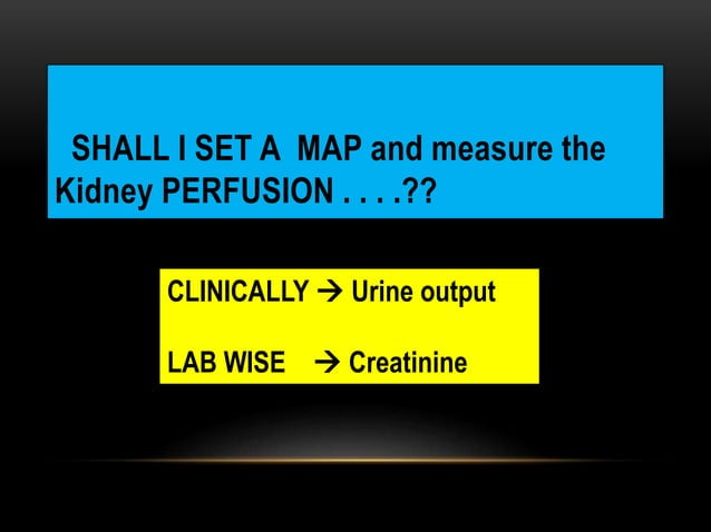 Renal blood flow and perfusion | PPT